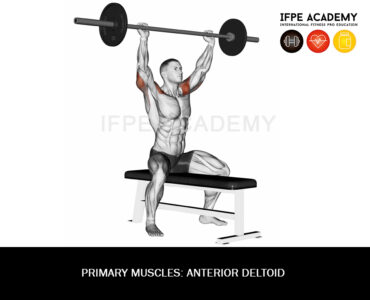 Barbell Shoulder Press - IFPE Academy