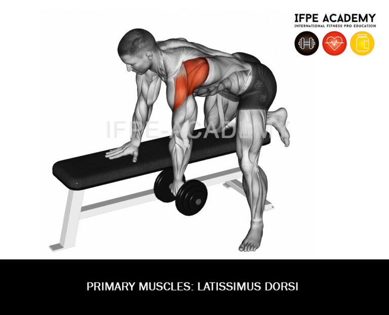 Dumbbell Bent Over Row - IFPE Academy