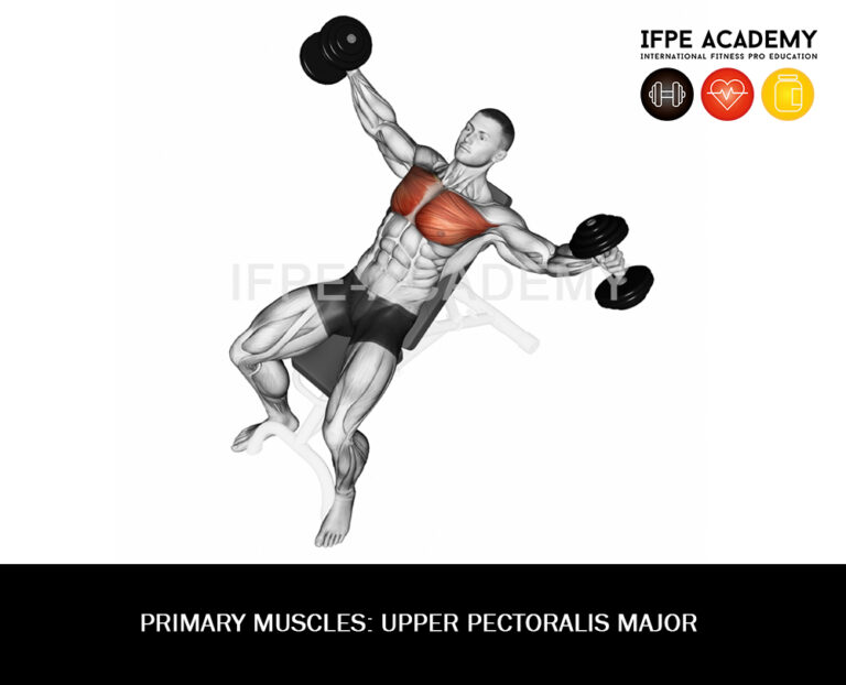 Incline Dumbbell Fly - IFPE Academy