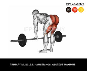 Romanian Deadlift (RDL) - IFPE Academy