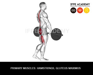 Single Leg Romanian Deadlift - IFPE Academy