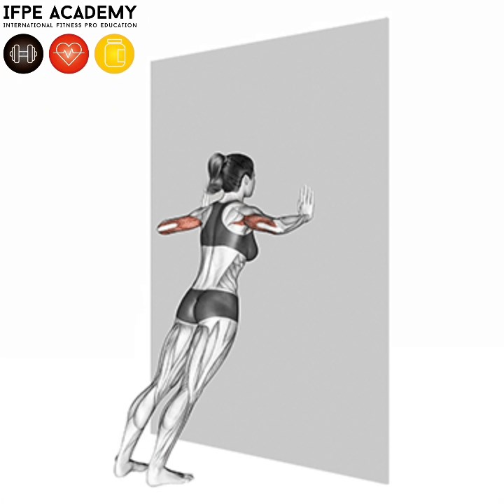 WALL PUSH-UP - IFPE Academy